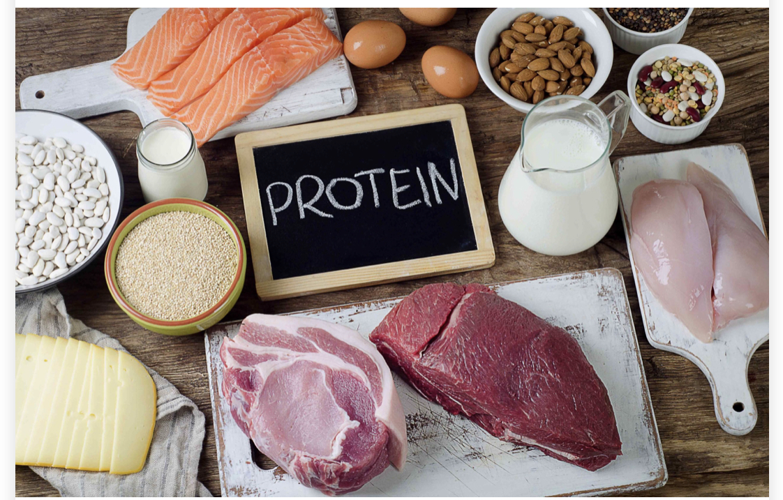 Protein build muscle Protein And Recovery: A Quick Guide